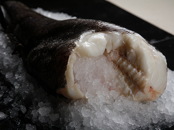 Black Cod: Pan-Asian Paradise! | Fresh Fish Delivery