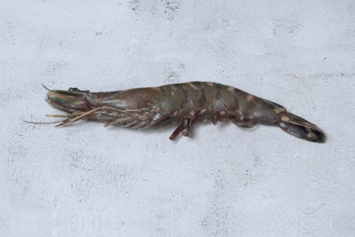 How to Peel a Prawn | How-to | Fresh Fish Delivery