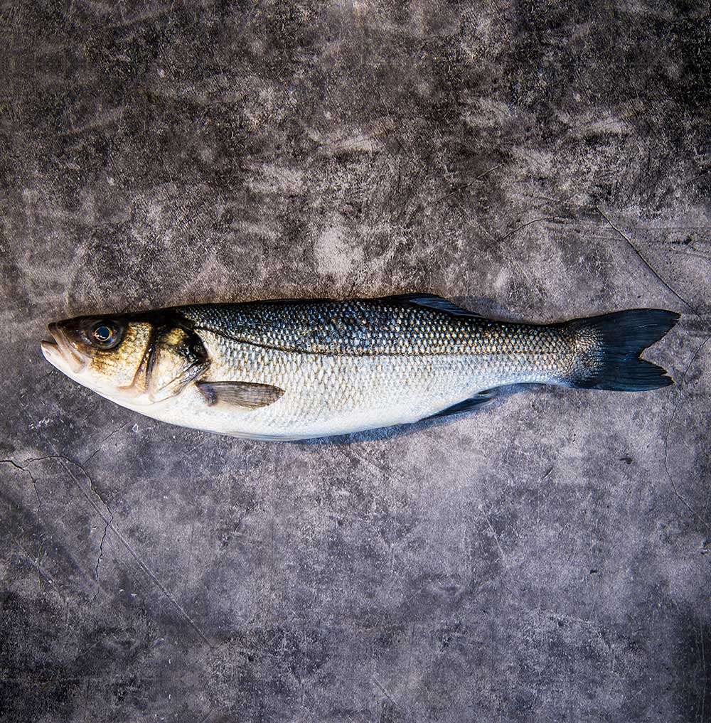 Seabass Fillets | Fresh Fish Delivery | Hook'd